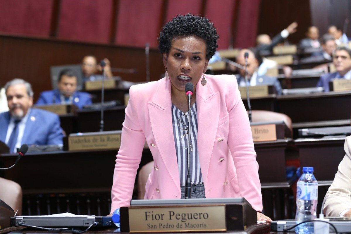 La diputada Fiordaliza Peguero renuncia del partido PRD - Puerto Plata ...