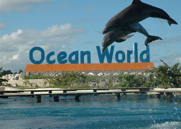 Parque de atracciones Ocean World Adventure Park celebra sus 11 años en ...